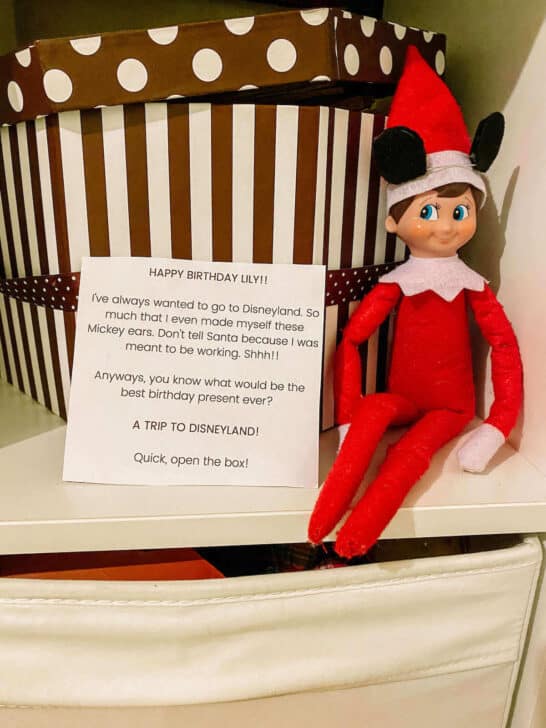 Disney Elf On The Shelf Ideas To Add Some Extra Magic