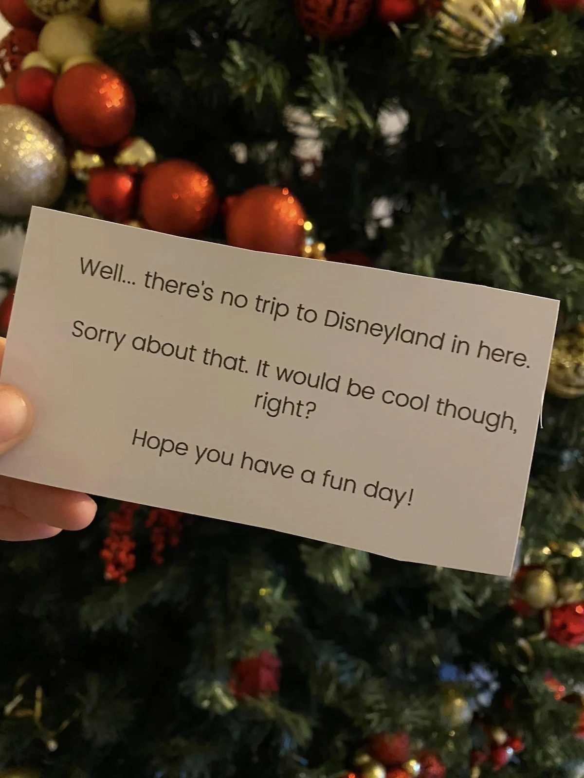 An Elf Tastic Celebration Unique Elf On The Shelf Birthday Ideas